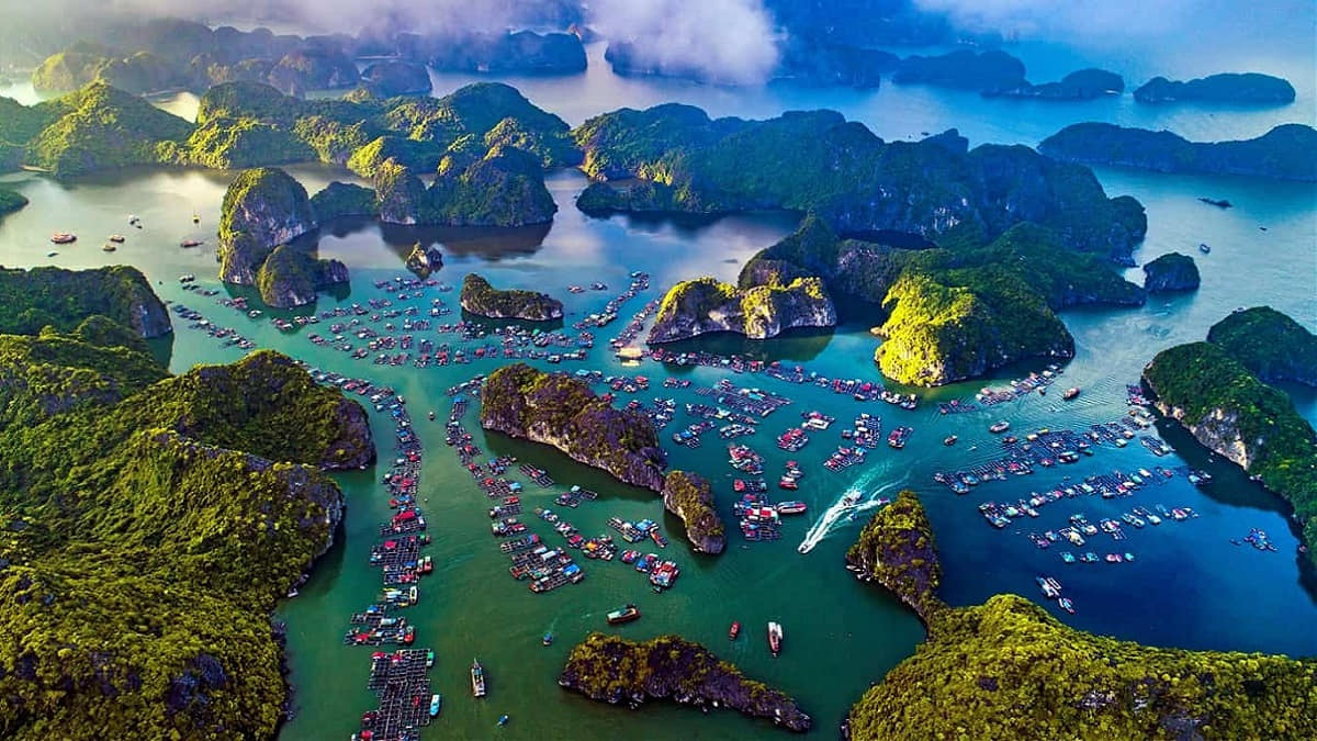 Tổng hợp 60+ ảnh đẹp Hải phòng về cảnh biển, hoa phượng đỏ